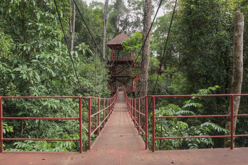 Watchtower. stock image. Image of wood, lookout, trekking - 63975301