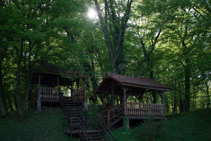 Watchtower stock photo. Image of eucalyptus, landscape - 115751948