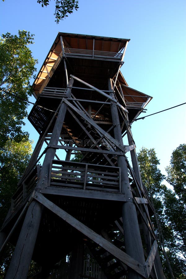 Watchtower in rainforest stock photo. Image of forest - 69210672