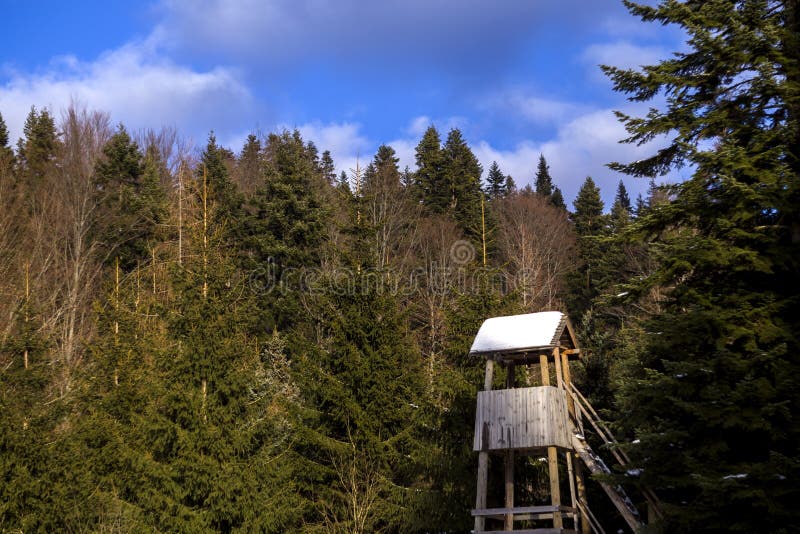 615 Watchtower Woods Stock Photos - Free & Royalty-Free Stock Photos ...