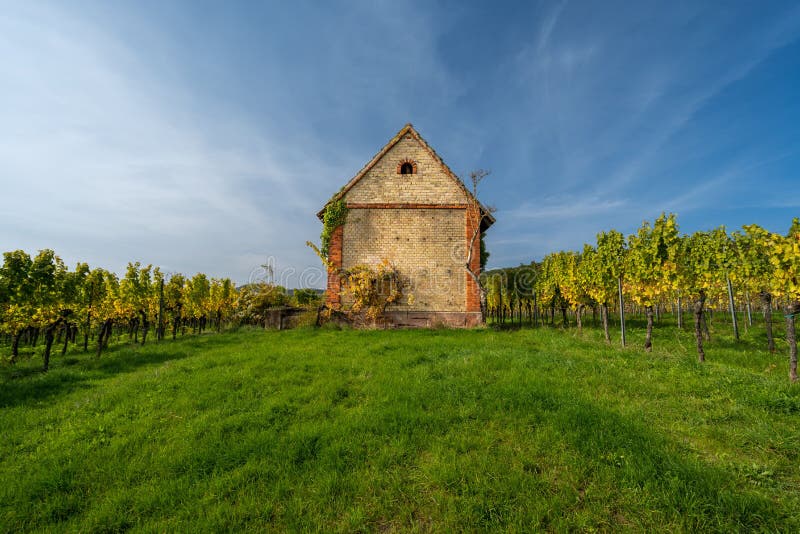 Watchtower in a Vineyard Plantation Below the Blue Sky Stock Photo ...