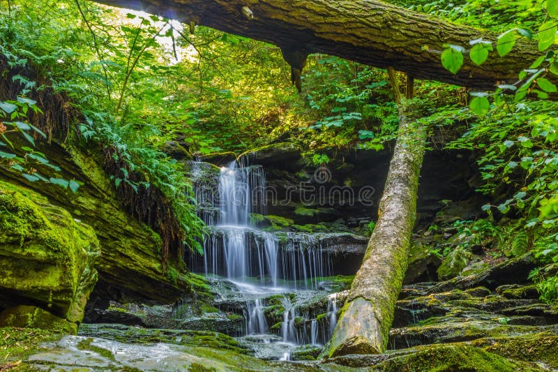 Watefall in the woods stock image. Image of watefall - 86499127