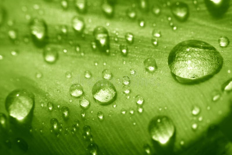 Water stock photo. Image of liquid, harmony, blossom, bubble - 4328366