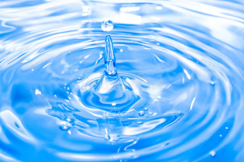 Gaboon Viper stock photo. Image of floor, snakes, protection - 1130590