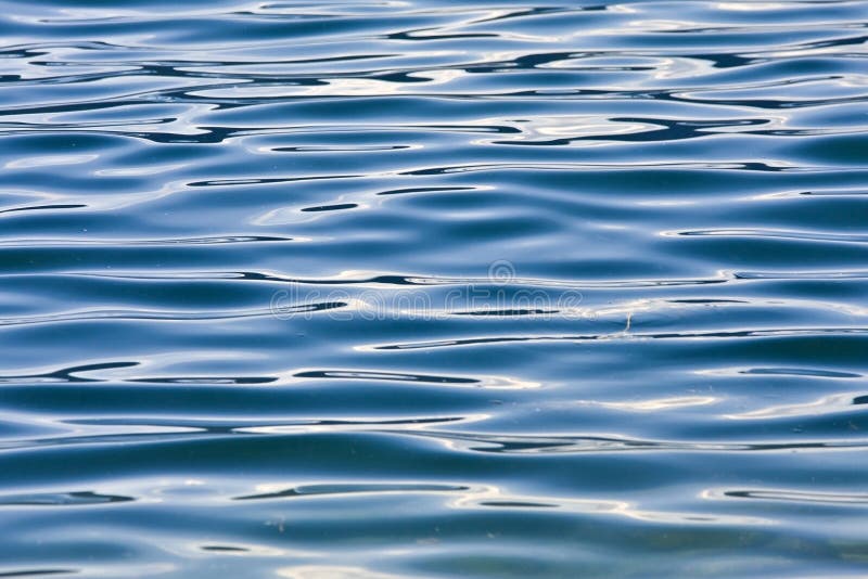 Tropical Sea Underwater and Water Surface Stock Image - Image of vivid ...