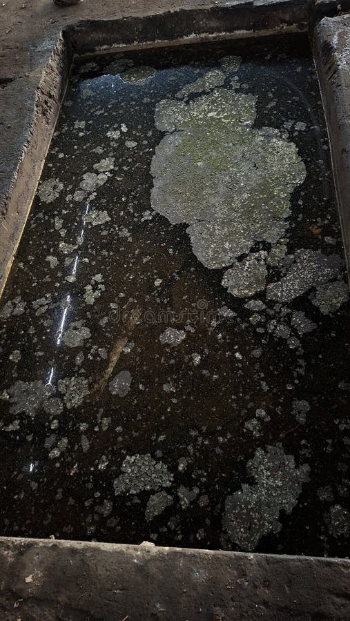 Water in an Abandoned Wood Processing Plant Stock Photo - Image of rock ...