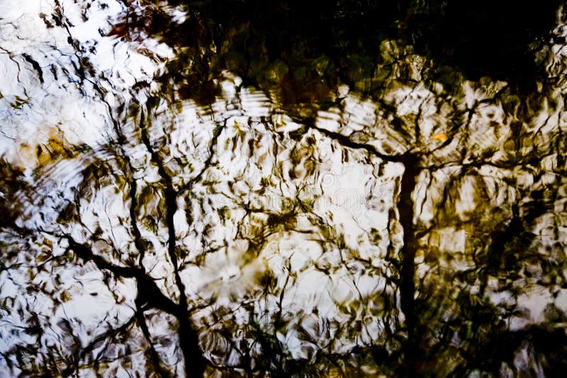 Water abstract stock image. Image of nature, branches - 2826767