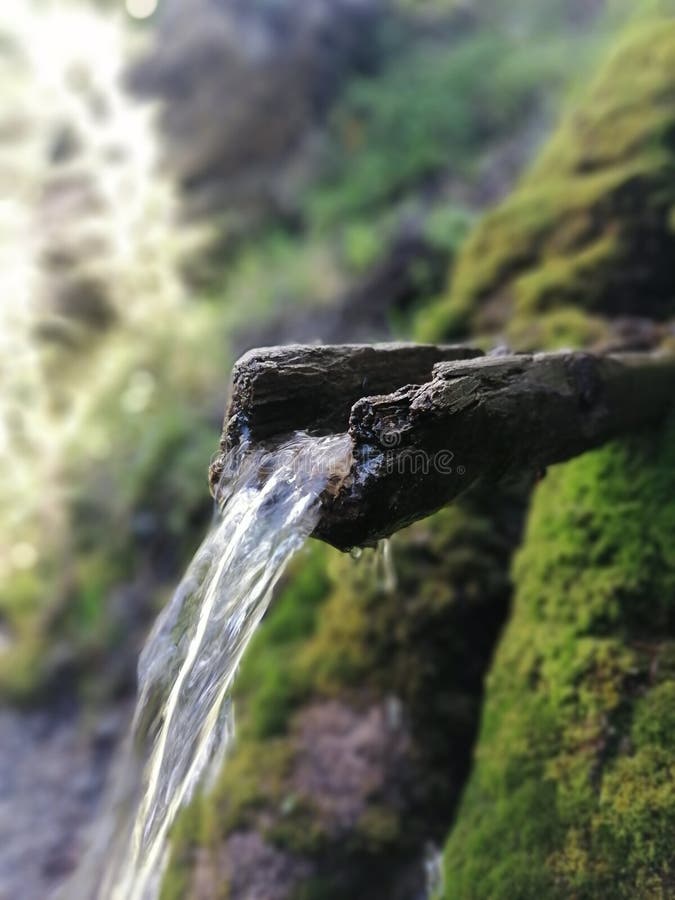 Water with an Amazing Combination of Greenery. Stock Photo - Image of ...