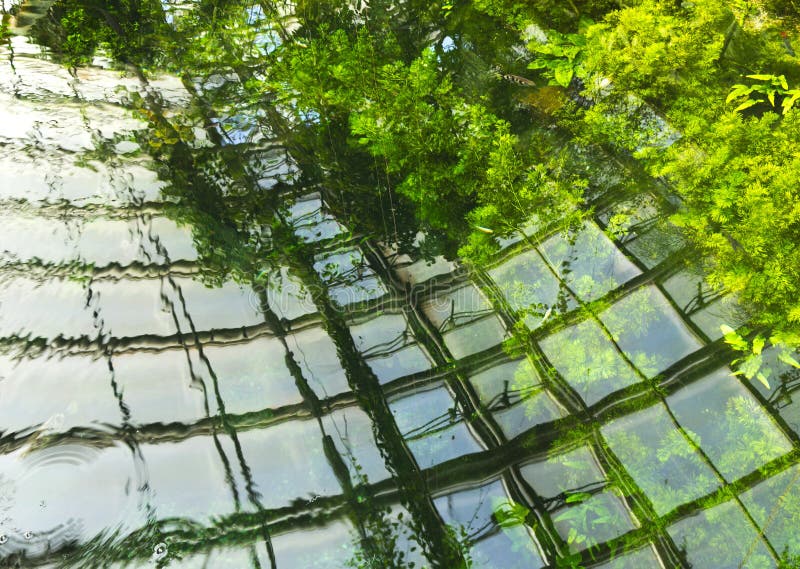 Water background stock image. Image of aquatic, abstract - 39984957