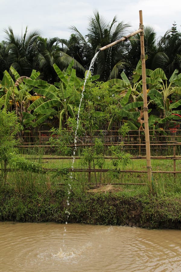 Water through a Bamboo Pipe Stock Photo - Image of pipe, reflect: 147300350