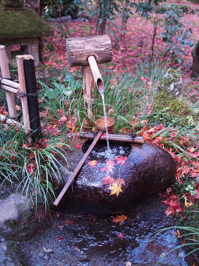 Japanese Water Basin in Kyoto, Autumn Stock Image - Image of floral ...
