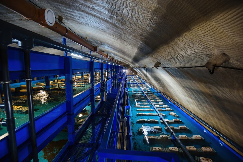 Water Basins with Automatic Feeding and Water Recirculation for Growing ...