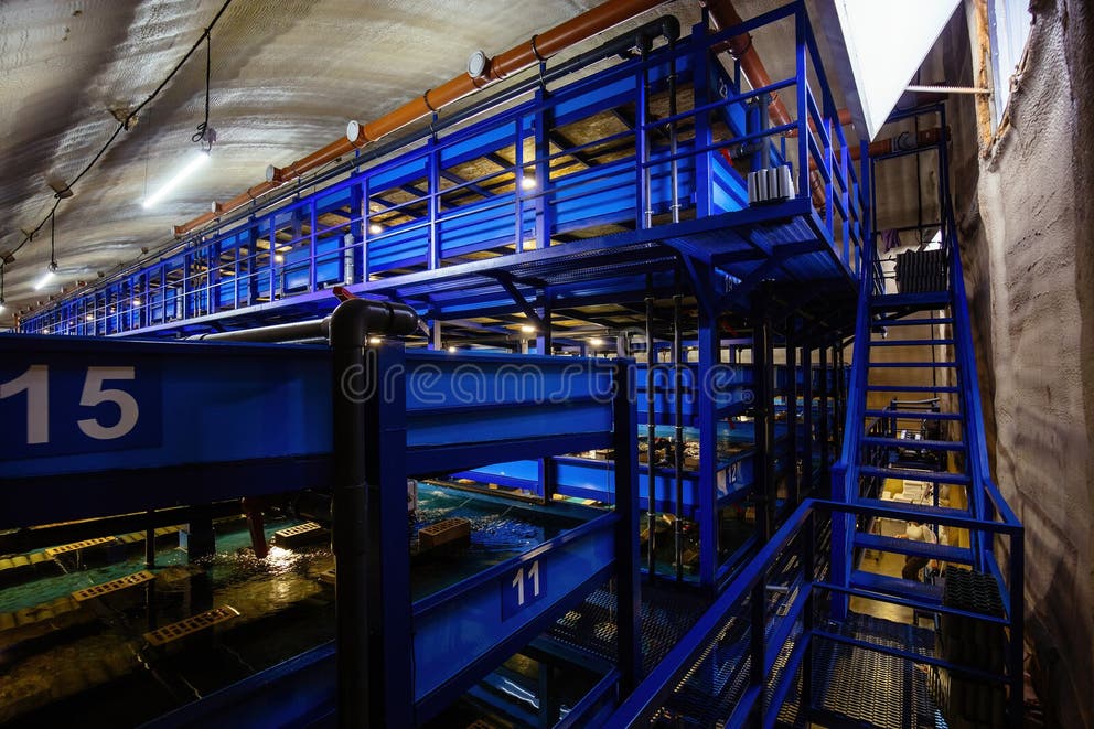 Water Basins with Automatic Feeding and Water Recirculation for Growing ...