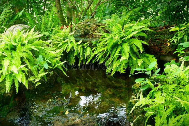 Water Basins and Green Trees. Stock Image - Image of background ...