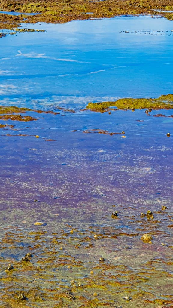 Water on the Beach after Ebb Tide Stock Photo - Image of clear ...