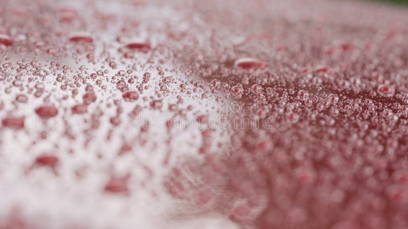 Water Beading on Red Car with Hydrophobic Coating Stock Image - Image ...