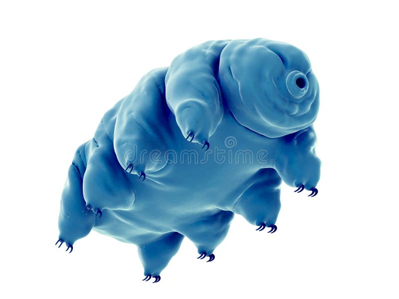 Tardigrade Stock Illustrations – 464 Tardigrade Stock Illustrations ...