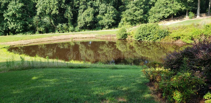 Water stock image. Image of country, pond, beautiful - 124605561