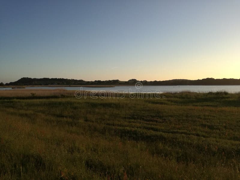 Water stock image. Image of water, beautiful, pasture - 94079503