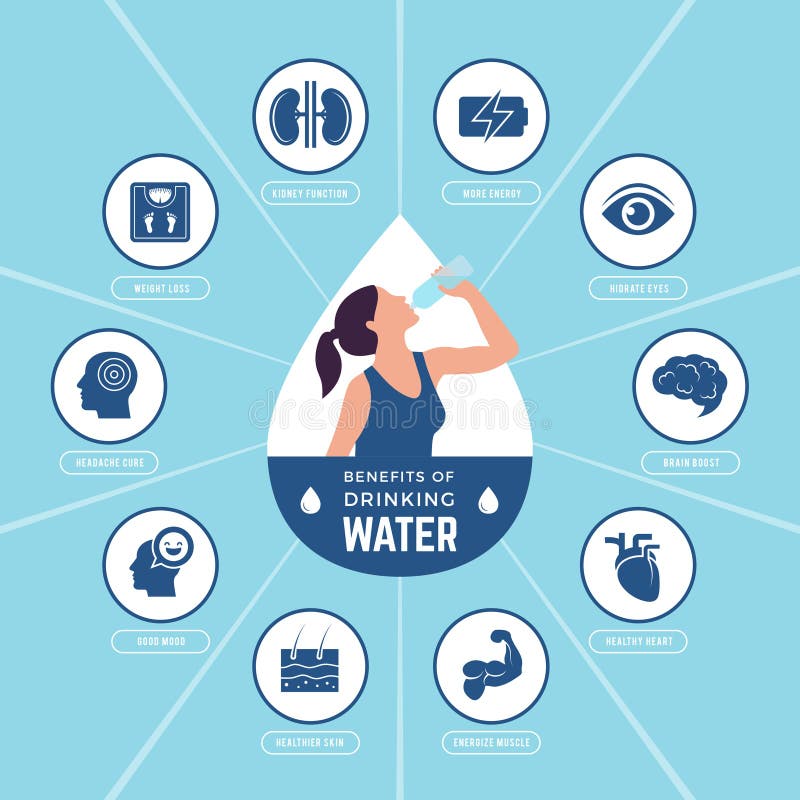 Benefits Drinking Water Stock Illustrations 122 Benefits Drinking