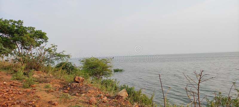 264 Rever Background Stock Photos - Free & Royalty-Free Stock Photos ...