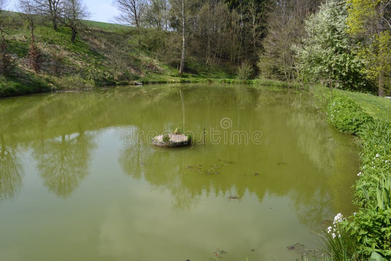 Water, Body Of Water, Nature Reserve, Pond Stock Photo - Image of swamp ...