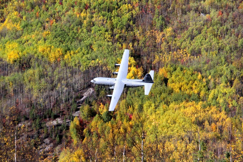 Water Bomber Making Test Run Over Treetops Stock Image - Image of ...
