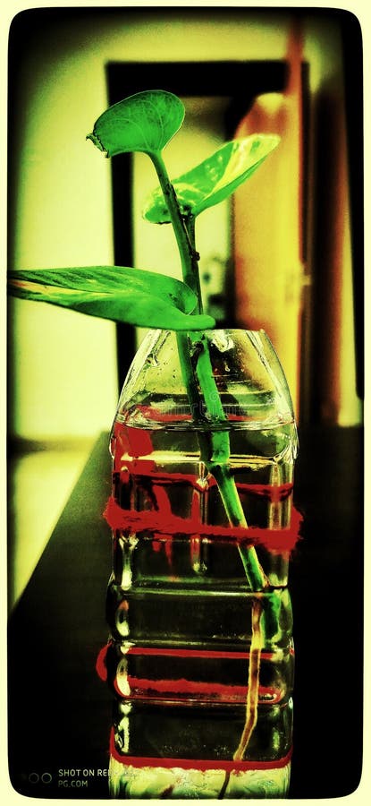 113 Botel Water Stock Photos - Free & Royalty-Free Stock Photos from ...