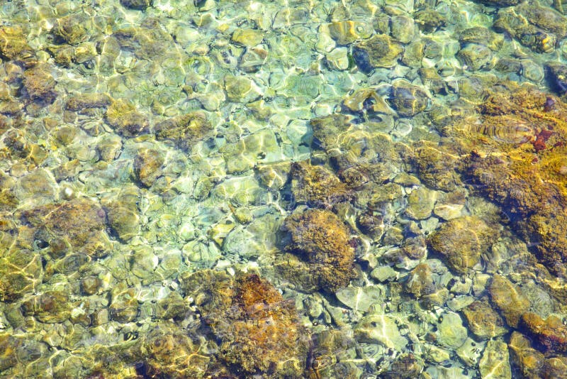 Water and Bottom of Adriatic Sea Stock Image - Image of summer, travel ...