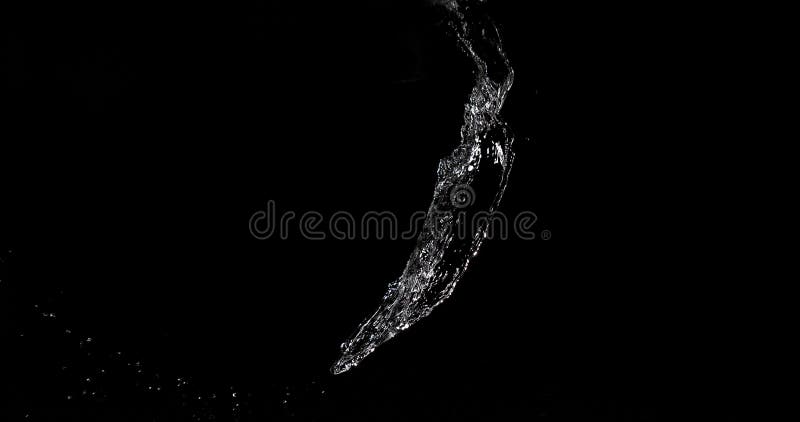 Water Bouncing and Splashing on Black Background Stock Image - Image of ...