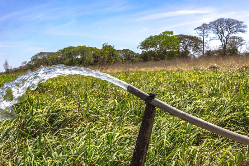 Water Bring Life in Venezuela Stock Image - Image of rural, bring ...