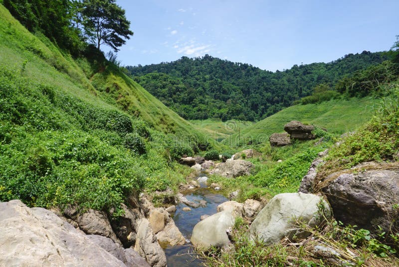 Water from Brook or Water Fall in Blue Pvc Pipe To Water Filter on the ...