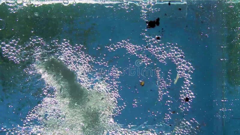 Water and Bubbles in Nature in Sunny Summer Light Texture and ...