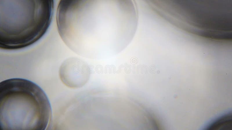 Water Bubbles Under the Microscope Stock Footage - Video of chemical ...