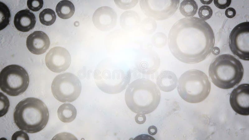 Foam under microscope stock image. Image of microscope - 19255753