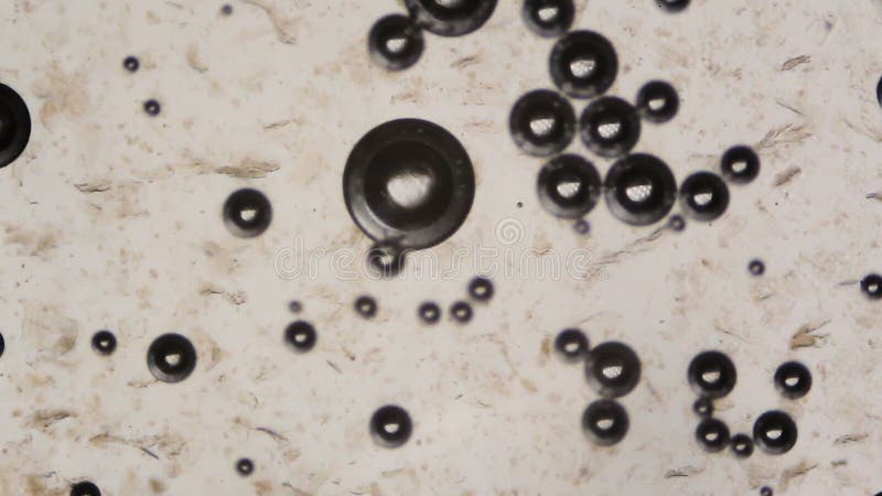 Water Bubbles Under the Microscope Stock Footage - Video of chemical ...