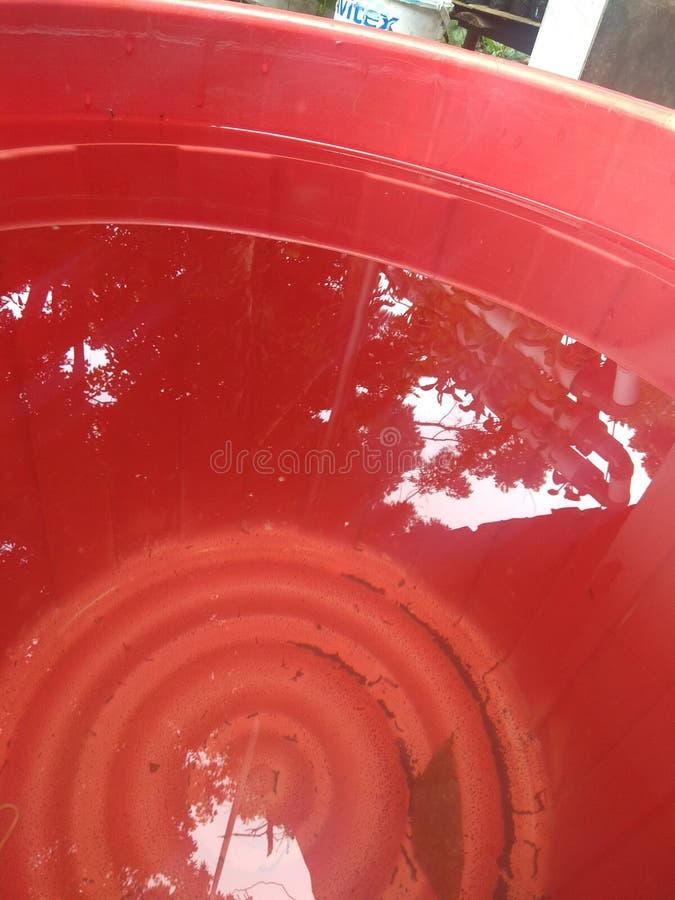 Water in bucket stock image. Image of water, produce - 208169035