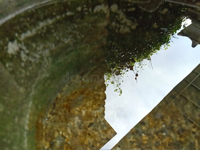 Water in bucket stock photo. Image of shadow, bucket - 208368992