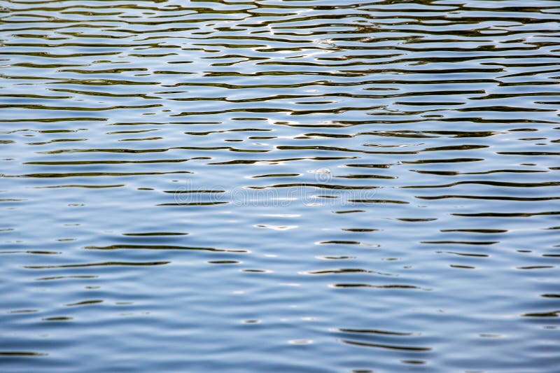 The Water is Calm and Still, with Ripples Forming on the Surface Stock ...
