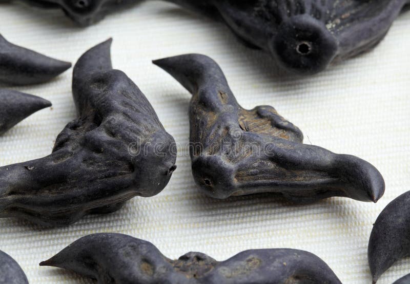 Water Caltrop stock image. Image of assortment, fried - 26838337