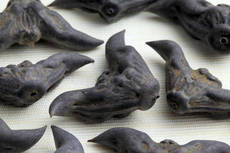 Water Caltrop stock image. Image of nutrition, food, market - 27221999