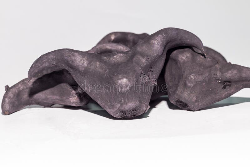 Water Caltrops or Trapa Bicornis Osbeck Stock Photo - Image of dessert ...