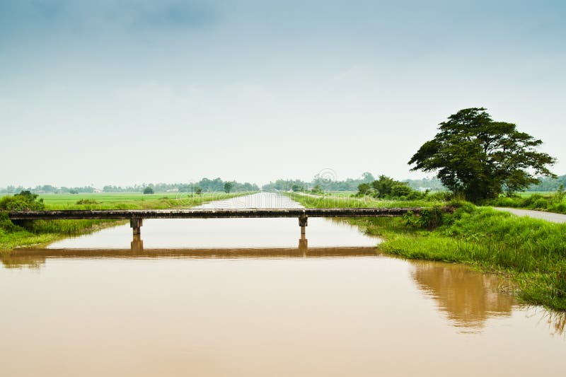 Water Canal stock image. Image of channel, field, weeds - 25900089