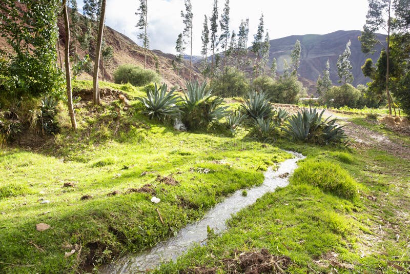 Water canal in Cusco Peru. stock image. Image of earth - 236129945