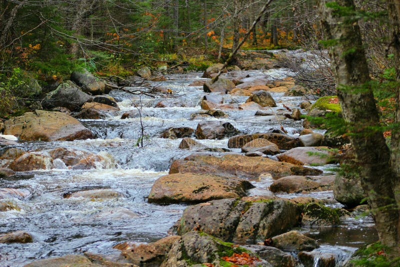 Nature water stock photo. Image of woods, outdoor, outdoors - 102184042