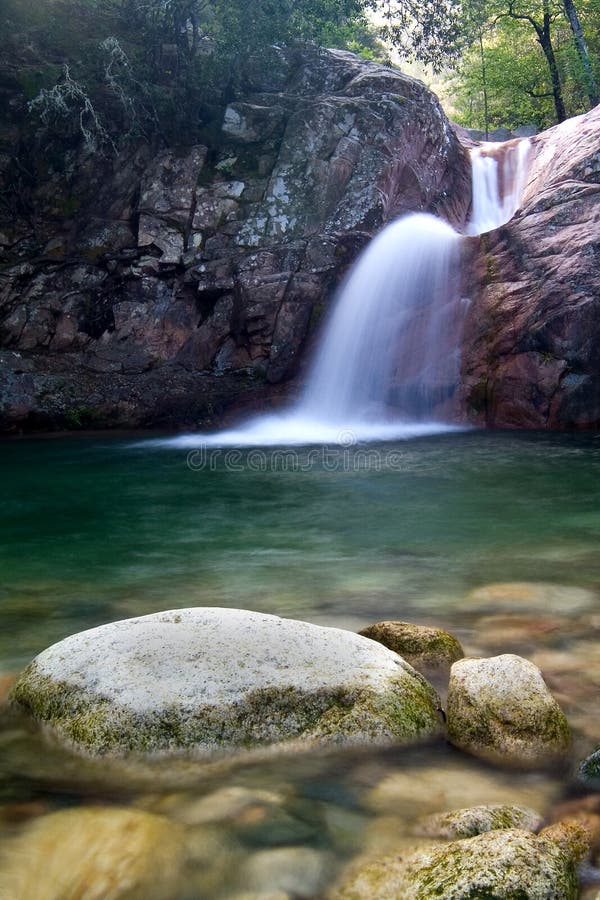 Water cascade stock image. Image of vertical, flow, trees - 2472653