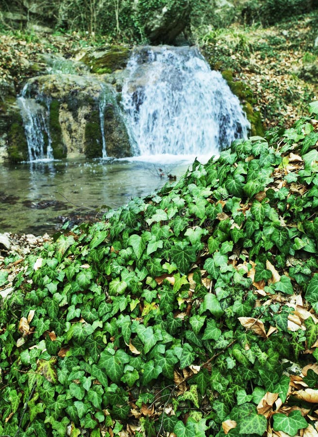 Water cascade stock image. Image of spring, river, effect - 11927351