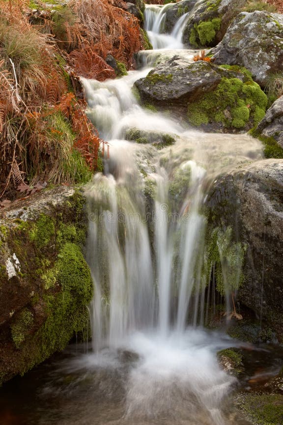 A water cascade stock photo. Image of mossy, spring, moss - 789658