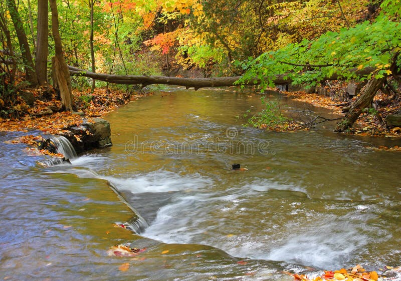 Water Cascade in Deep Forest Stock Image - Image of hamilton ...