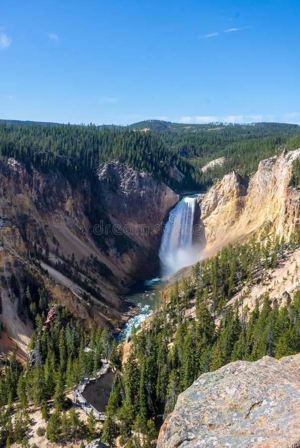 Lower Falls of the Yellowstone River Stock Photo - Image of iron, pine ...